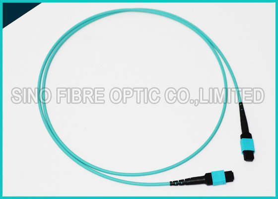 100Gbps 24 Cores MPO Mating Fiber Parallel Optics Multimode OM3 Trunk Polarity B Cable