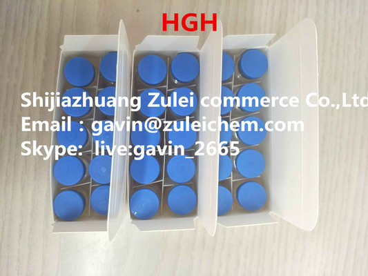 HGH  hgh Human Growth Hormone   HGH  hgh Human Growth Hormone  HGH  hgh Human Growth Hormone  HGH  hgh Human Growth Horm